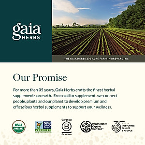 Gaia Herbs Agile Mind - Brain & Cognitive Support Herbal Supplements - with Organic Turmeric Root, Bacopa, Black Pepper, and Ginkgo Biloba - 60 Vegan Liquid Phyto-Capsules (30-Day Supply)