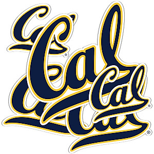 Desert Cactus University of California Berkeley Sticker Golden Bears Cal UC Vinyl Decals Laptop Water Bottle Car Scrapbook T3 (Type 3-2)