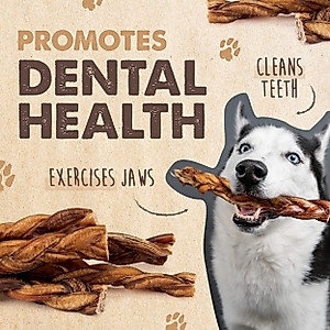 Mighty Paw Braided Bully Sticks for Large Dogs (5 Pack) | Large Bully Sticks. Best Dog Bully Sticks for Medium Dogs. Twisted Treats for All Breeds. Odor Free Bully Sticks. Thick 12” & 6” Variety Pack