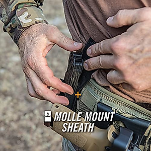 Gerber Gear 31-003884 Truss Needle Nose Pliers Multitool with MOLLE Sheath, Black