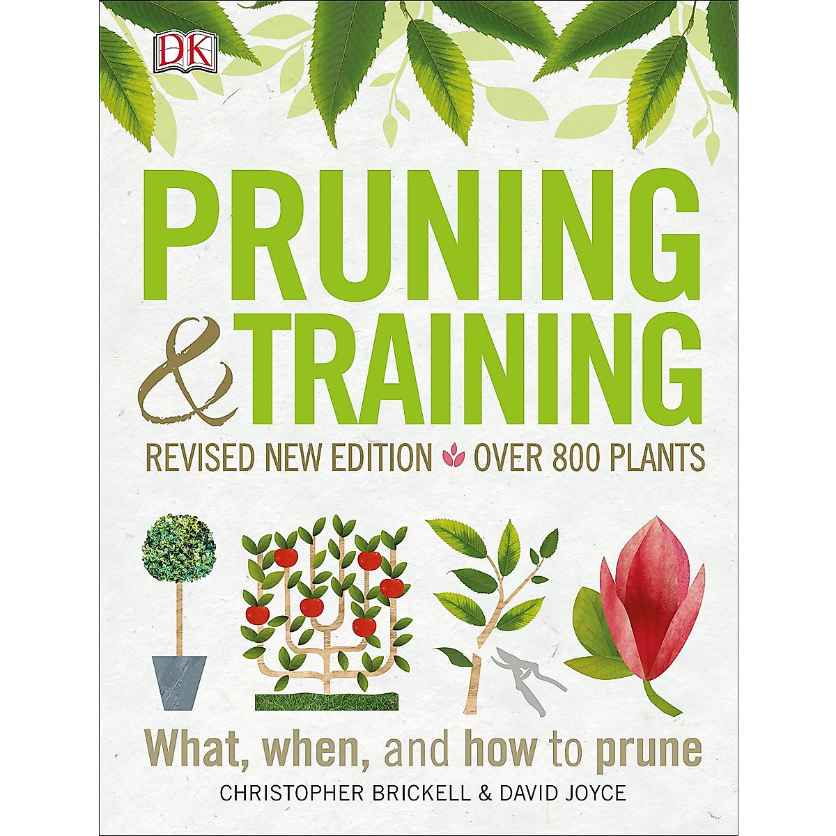 Pruning and Training, Revised New Edition: What, When, and How to Prune