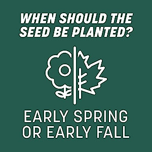 Pennington Smart Seed Sun and Shade Grass Mix 20 lb, Black Label