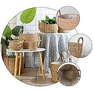 Cabilock Seagrass Plant Basket Hand Woven Belly Basket Bin Straw Beach Bag Panier with Handles for Laundry Picnic Plant Pot Cover Flower Home Toys Decor 25CM Khaki