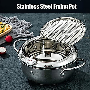 Deep Fryer Pot, Stainless Steel Deep Frying Pot, Small Deep Fryer Stainless Steel Deep Fryer Pot with Temperature Control Oil Drain for French Fries Fish Chicken(L)