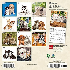 Kittens & Puppies | 2023 7 x 14 Inch Monthly Mini Wall Calendar | BrownTrout | Animals Cute Dogs Cats