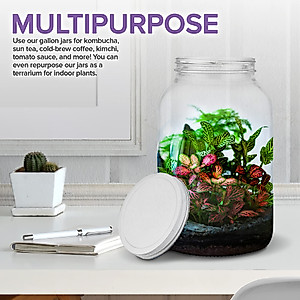 Stock Your Home Gallon Glass Jar with Metal Lid (2 Pack) - 128 Ounce - Airtight & Odor Proof - Pickling & Canning Jars for Kombucha, Sun Tea, Fruits - Food Grade Jars for Dried Goods, Sugar, Flour