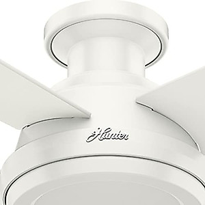 Hunter Fan Company 59248 Dempsey Indoor Low Profile Ceiling Fan with Remote Control, 52", Fresh White Finish