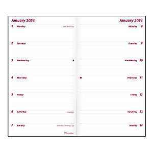 Brownline 2024 Essential Two-Week Pocket Planner, 12 Months, January to December, Stitched Binding, 6" x 3.5", Black (C5626.81Z-24)