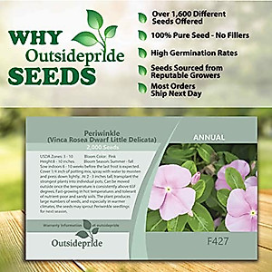 Outsidepride Vinca Periwinkle Pink Garden Flower, Ground Cover, & Container Plants - 4000 Seeds