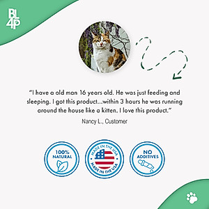 Cat Hip and Joint Pain Relief Supplement - Cat Arthritis Pain Relief, Heal from Sprains, Inflammation and Injuries, Improve Mobility - Natural Easy-to-Swallow, Odorless, Tasteless - 400 Pills