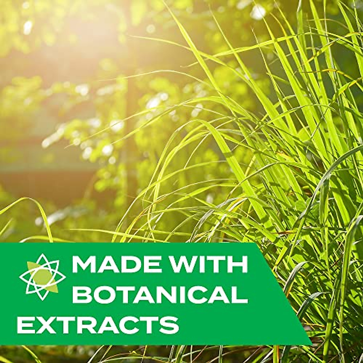 Stem Kills Ants, Roaches And Spiders: Plant-Based Active Ingredient Bug Spray, Botanical Insecticide For Indoor And Outdoor Use; 10 fl oz (Pack Of 3)