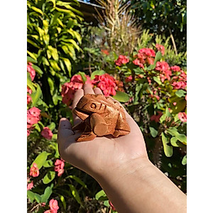 Percussion Instruments Wooden Frog 3 Pcs Set of 4 Inch Frog, 3 Inch Frog, 2.25 Inch Frog, Wooden Frog Musical Instrument Home Decor. (Black/Green/Brown Colors)