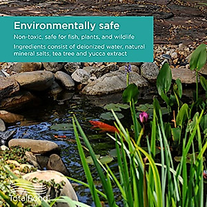 TotalPond A20011 Chlorine Remover Plus, 16-Ounce