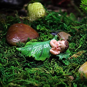 Danmu 4Pcs of Polyresin Mini Size Sleeping Fairy Miniature Figurines, Fairy Garden Accessories, Fairy Garden Supplies, Fairy Garden Animals for Fairy Garden, Bonsai Craft Decor 1 4/5" x 9/10" x 1/2"