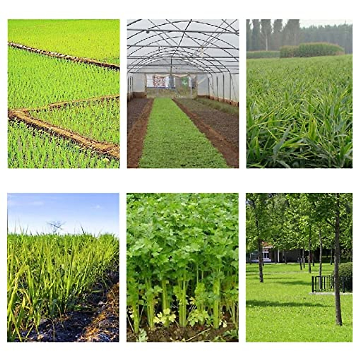 Pool Above Ground Irrigation Water Hose Waterproof Customizable Length And Distance, For Garden Agriculture Fields Irrigation ( Color : Black , Size : 30m/3m )