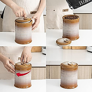 Nihow Ceramic Food Storage Jar Sets: Container with Air Tight Ceramic Lid for Flour/Sugar/Rice/Coffee/Cookies/Candy - Seal Damp-proof Canister for The Kitchen - Set of 4 (Brown)