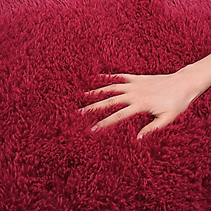 DETUM Wine Red Runner Rug 2' X 6' Fluffy Burgundy Area Rugs for Bedroom Bedside Soft Living Room Shag Rugs Hallyway Entryway 24 x 72 Inch Room Decor