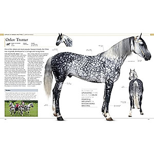 The Horse Encyclopedia (DK Pet Encyclopedias)