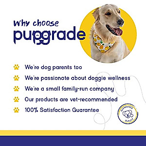 PupGrade Daily Multivitamin for Dogs - All-in-One Supplement for Digestive, Immune, Skin and Coat Health - 32 Healthy Nutrients, Probiotic Enzymes, Omega Fish Oil, Vitamins A, C, D & E - 30 Soft Chews