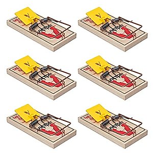 Victor M205-6 Easy Set Plastic Pedal Sustainably Sourced FSC Wood Humane Snap Rat Trap - 6 Wooden Traps