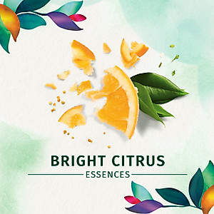 Herbal Essences Body Envy Volumizing Shampoo 10.1 oz