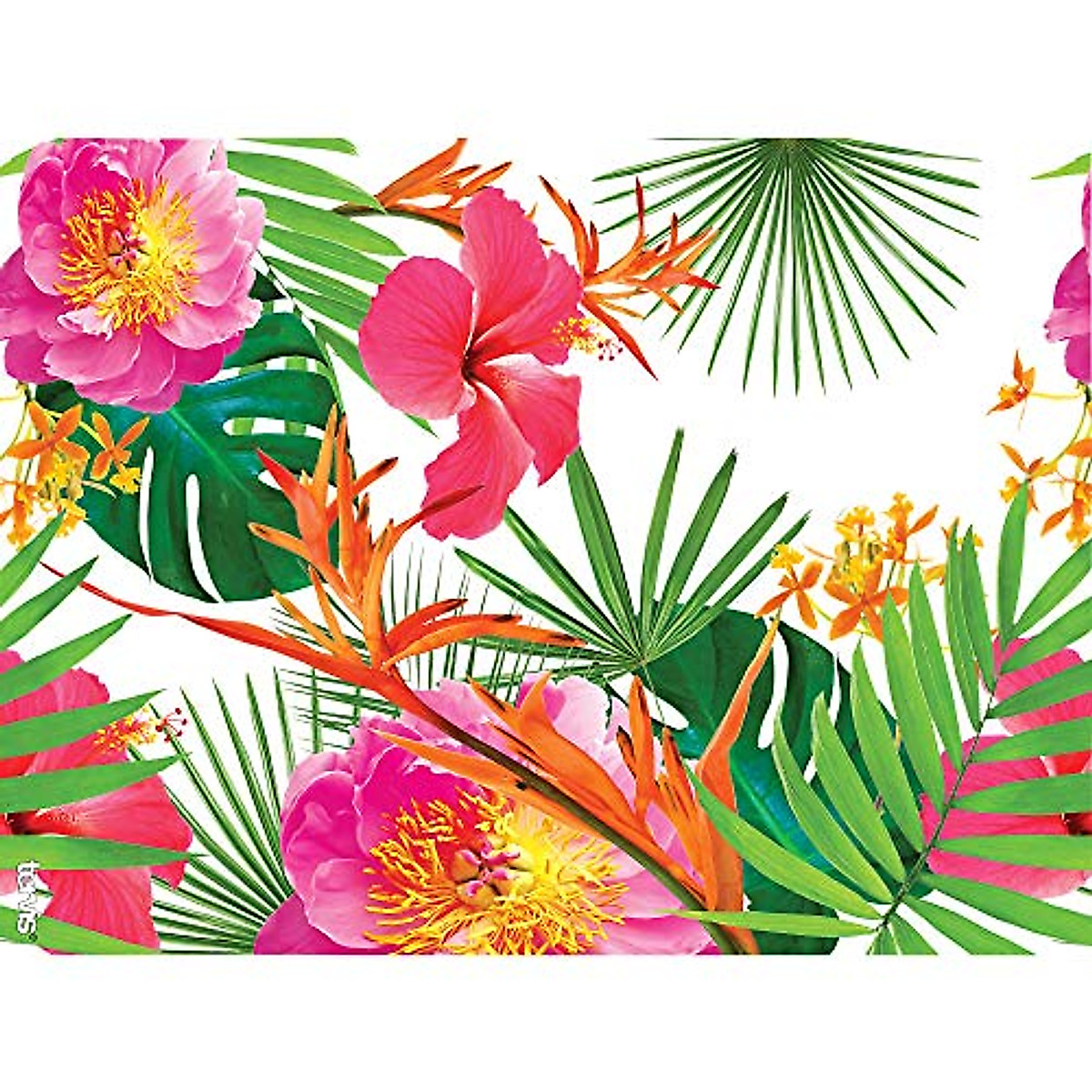 Tervis Tropical Hibiscus Photo Made in USA Double Walled Insulated Tumbler Travel Cup Keeps Drinks Cold & Hot, 24oz, Clear