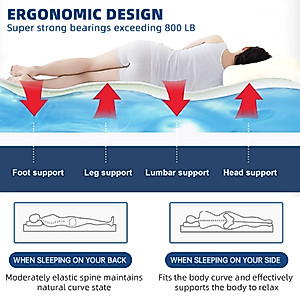 Free Flow Full Wave Water Bed Mattress - PVC Square Purple Softside Water Bed, Comfortable and Foldable Water Mattress Set for The Elderly, Children and Adults (Twin XL, 39×80x7.9inch)