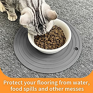 Ptlom Pet Food Mat for Dog and Cat Placemat 2 Pcs, Mat for Prevent Food and Water Overflow, Suitable for Medium and Small Pet, Silicone, 9.5"* 9.5"