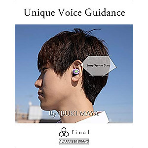 Final Audio True Wireless Earbuds Bluetooth Headphones with Charging Case. Earphones with Built-in Mic and Hands Free Touch Controls for iPhone & Android. Evangelion (Red)