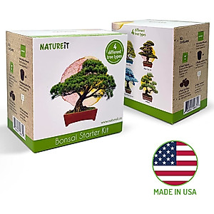 Natureit Bonsai Tree Starter Kit - Grow 4 Bonsai Trees from Seeds. All-in-One Indoor/Outdoor DIY Craft Kits for Adults Men & Women. Christmas Ideas for Plant Lovers or Mom & Dad who has Everything