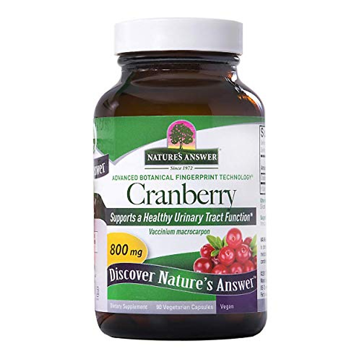 Nature's Answer Cranberry Fruit Vegetarian Capsules, 90-Count | Promotes Urinary Tract Support | Healthy Bladder Function | Natural Detoxifier