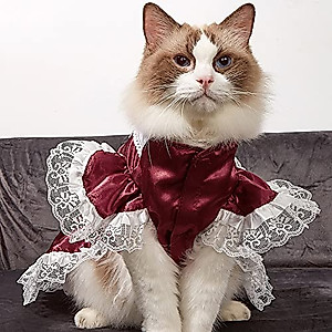 SHIAOMIN Maid Dress Dog Dresses Cute Doggie Clothes Summer Puppy Skirts Kitten Outfits Apparel Walking Dress Suitable for Pet in Parties, Important Occasions (Large, Red)