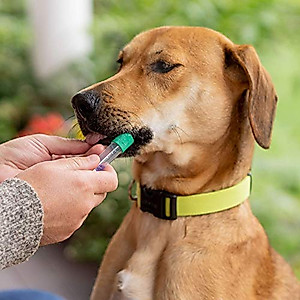 Embark Breed Identification Kit | Most Accurate Dog DNA Test | Test 350+ Dog Breeds | Breed ID Kit with Ancestry & Family Tree