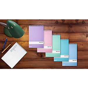 Better Office Products Spiral Steno Pads, 10 Pack, 6 x 9 inches, 80 Sheets, White Paper, Gregg Rule, Assorted Pastel Color Covers, 10 Steno Notebooks