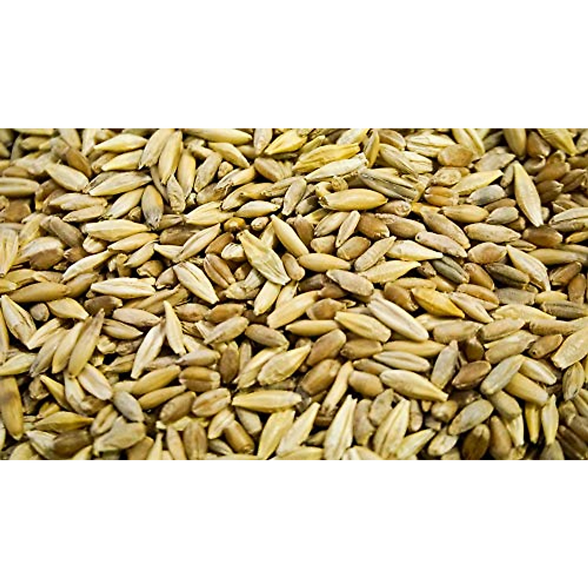 Thunder Acres Cat Grass Blend - Wheat, Barley, Oats, and Rye Seed Mix - Non-GMO - Certified Organic - Bonus CAT Toy (8 oz)