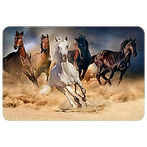 Horse, Indoor Door Mat Durable Front Door Mats Entryway Rug Non-Slip Absorbent Area Rugs Resist Dirt Rugs for Room Decor, 35"x24"