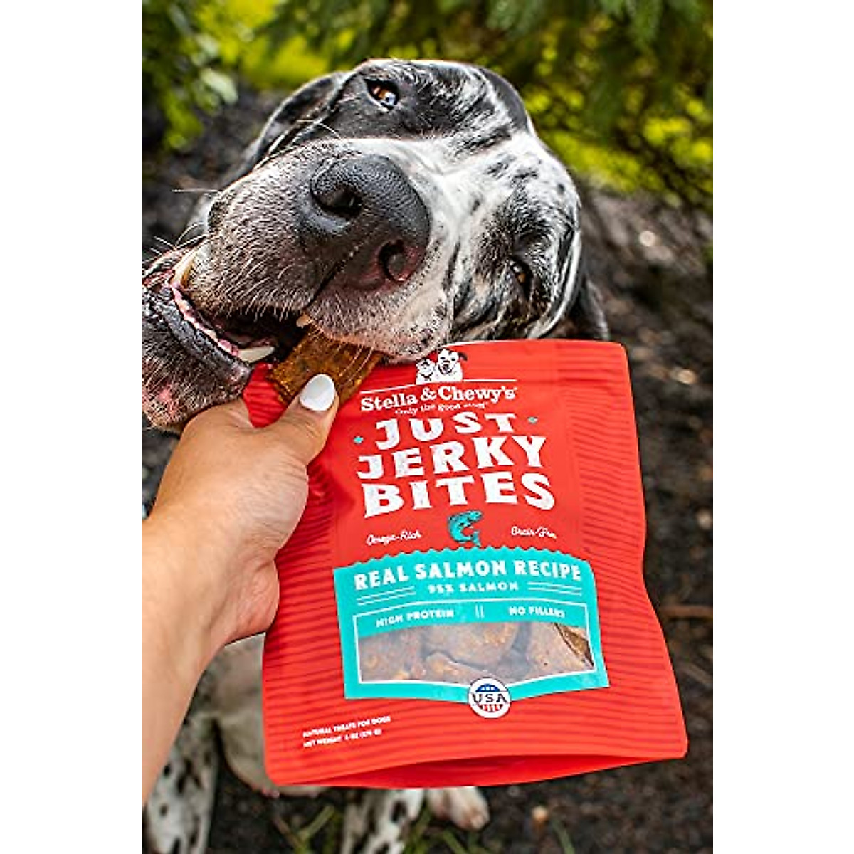 Stella & Chewy's Just Jerky Bites Real Beef Recipe Dog Treats, 6 oz. Bag