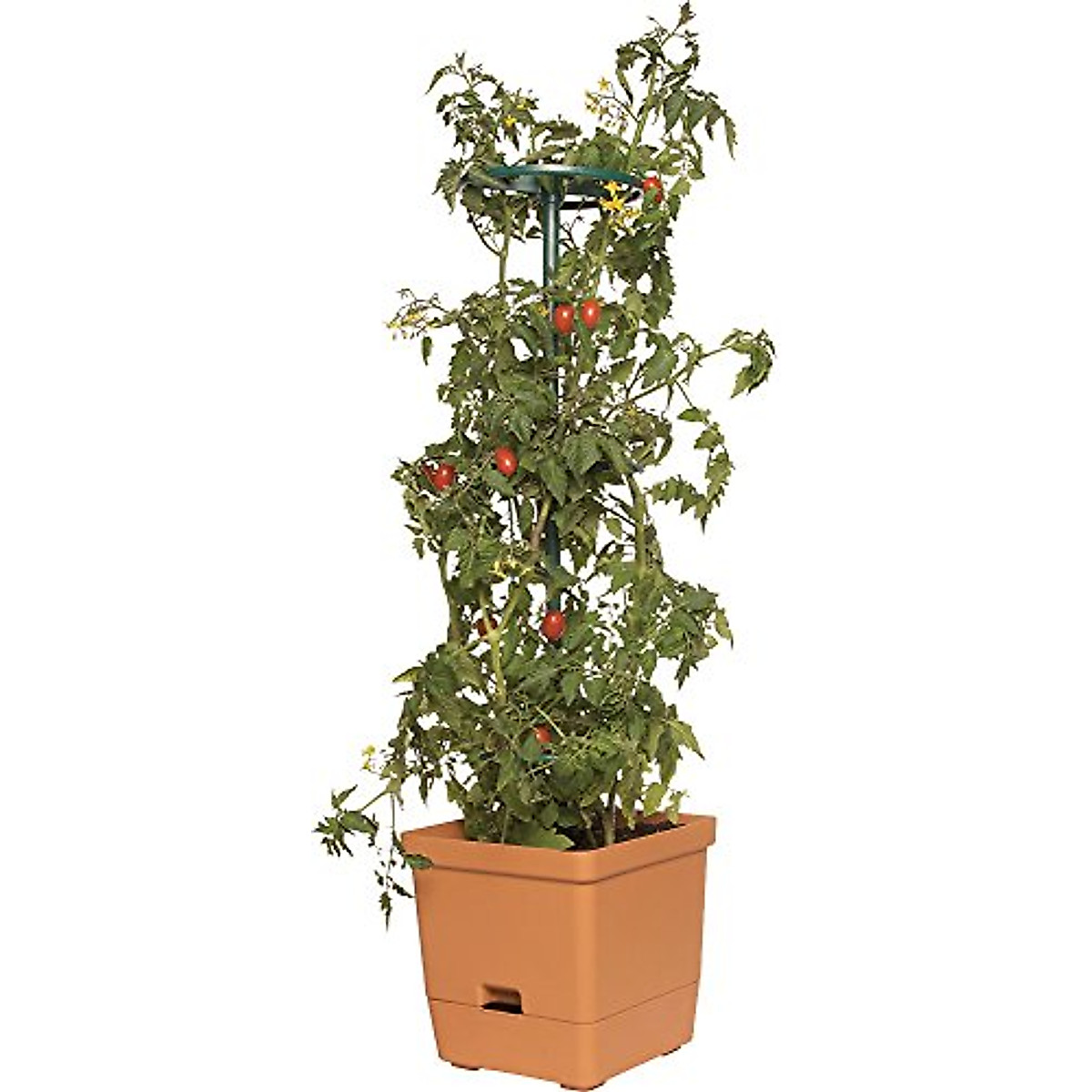 Hydrofarm GCTT Tomato 3-Foot Tree Tower, Orange and Green