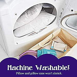 Dreamtown Kids Toddler Pillow & Pillowcase, Hypoallergenic & Made in USA. Ideal for Crib, Bed & Travel. Soft & Breathable for Safe, Cozy Sleep. Perfect for Boys and Girls - Ages 2+,White