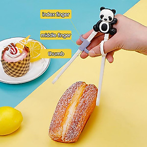 Training Chopsticks 2 Pairs for Kids Cute Animal Shape Children Learning Chopsticks helper Non-slippery Reusable and Dishwasher Safe (Green+Blue)