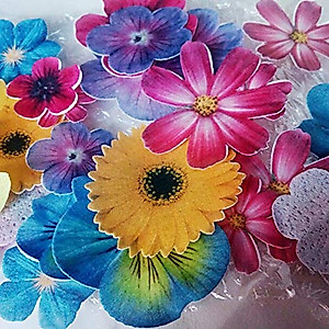 CHOCKACAKE Edible Flowers for Cake Decorating Topper Sunflowers for Cupcakes Drinks Decorations (72pcs)