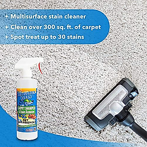 Absolutely Clean Carpet and Upholstery Shampoo, Stain Remover and Leather Cleaner, Remove Stains in 60 s, Cleans Over 300 sq. ft.