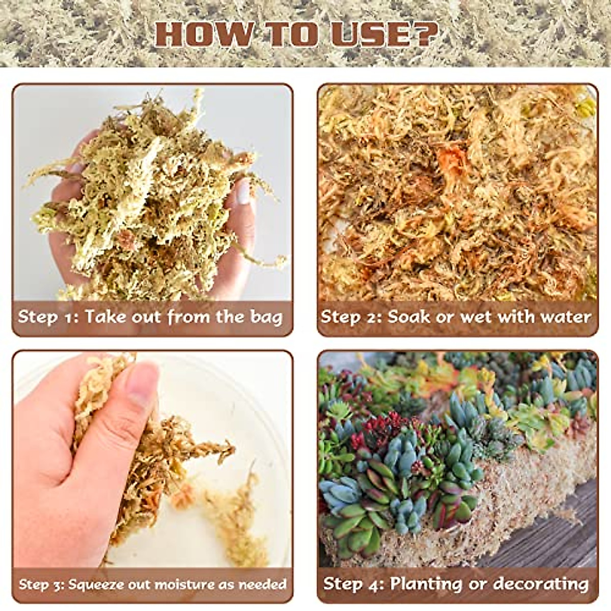 ZeeDix 3OZ Premium Sphagnum Moss for Plants, 4QT Natural Long Fibered Orchid Moss Sphagnum Peat Moss Bulk for Carnivorous,Orchid,Sarracenia,Succulent,Venus Fly Traps and Reptiles