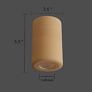 Eumyviv Frosted Glass Lamp Shade, 2pcs Cylinder Lampshade Cover Replacement with 1-5/8-Inch Opening for Chandelier Pendant Lighting Fixture A00079