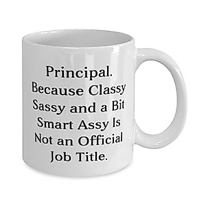 Unique Principal Gifts, Principal. Because Classy Sassy and a Bit Smart, Principal 11oz 15oz Mug From Friends, Cup For Friends, Funny principal mug, Gift for principal, Oz or 15oz mug, Funny gift for