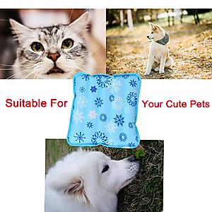 Ice Cushion Cool Ice Pillows Cushion,Water Filling Ice Cushion Chair Pad, Water Filling Ice Cushion Chair Pad,Pet Cushion,Summer Ice Pad,Beaches Cushion,Car Cushion,Office Cushion (14.17 x 14.17")