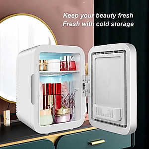 Mini Fridge for Skin Care, 4L Makeup Storage Mini Refrigerator, Small Refrigerator for Cosmetics, Skin Care, Food for Car, Office Desk and College Dorm Room