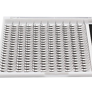 Dedila 220Pcs -Long Stem 14D Wide Fans Premade Volume Eye Lashes Extensions Thin Base Natural Long Individual False Eyelashes Soft and Lightweight Cluster Lashes 10-18mm to Choose (15mm)