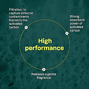 ATTITUDE Air Purifier, Activated Carbon Freshener, Odor Remover, Plant and Mineral-Based, Vegan, Lavender and Eucalyptus, 8 Ounces