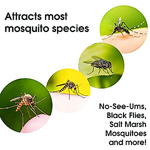 Mosquito Magnet OctenolSR Twin 3-pack Mosquito Trap Attractant - 6 Total Attactants